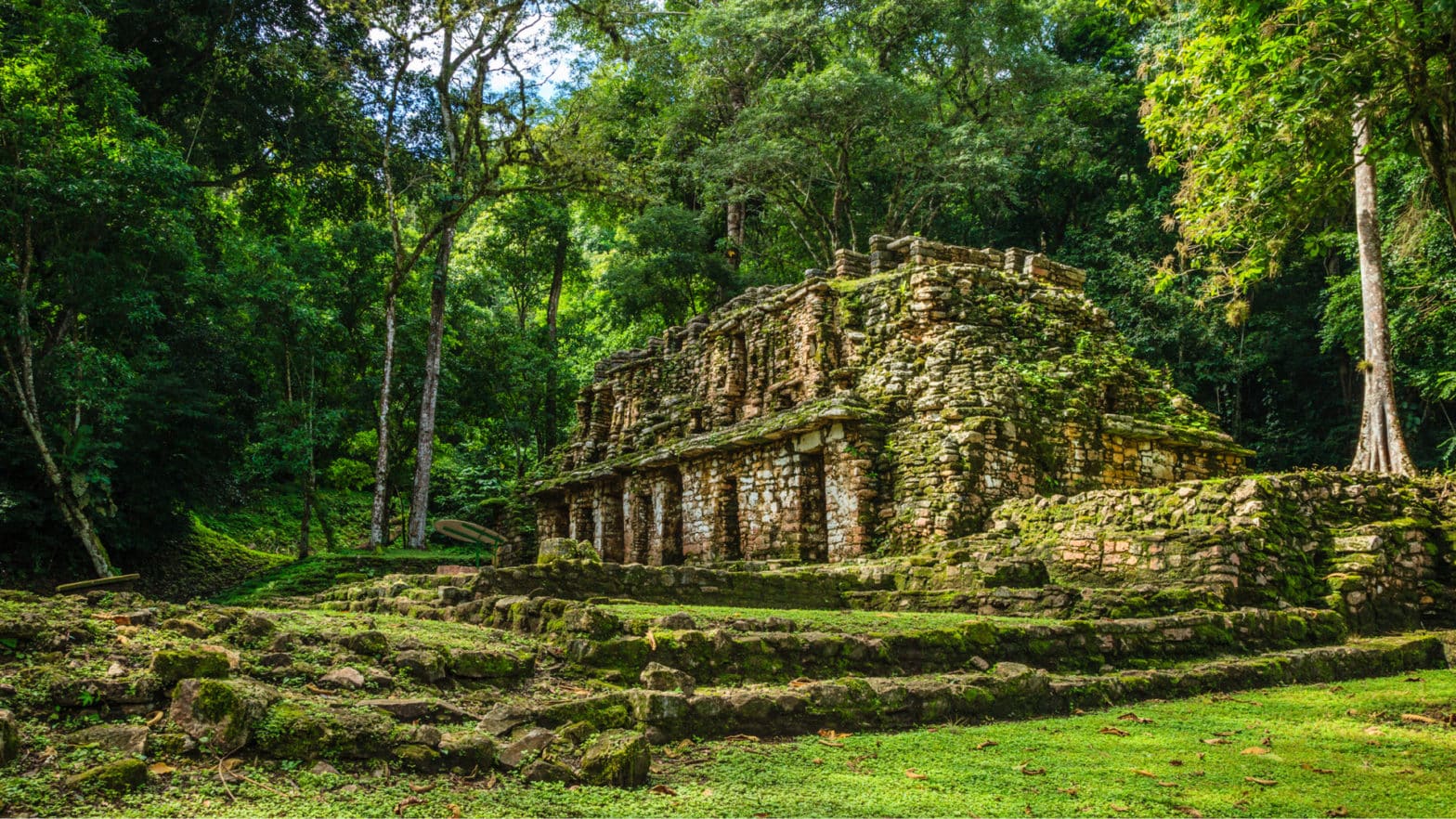Yaxchilán : Notre guide Guide pour visiter cette cité maya perdue