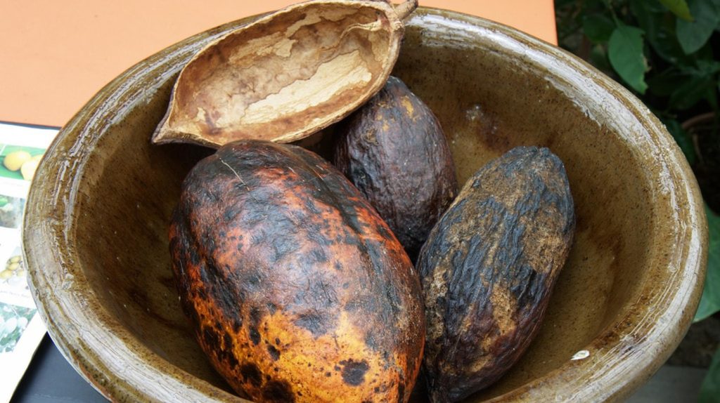 Explore the Lacandon Jungle with the Lacandones in Chiapas